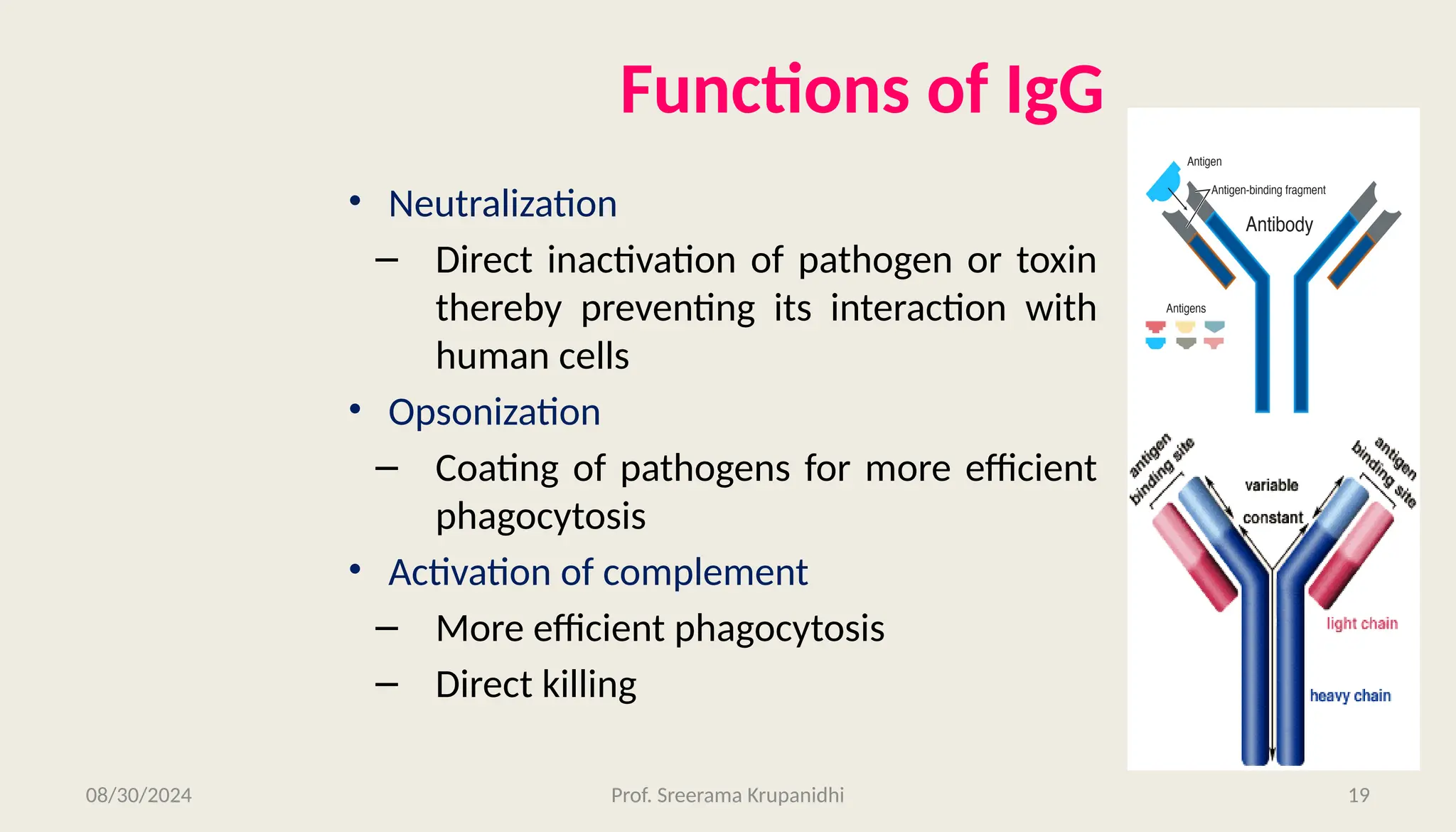 Lecture-10 Immunoglobulins: Their structure and function.pptx