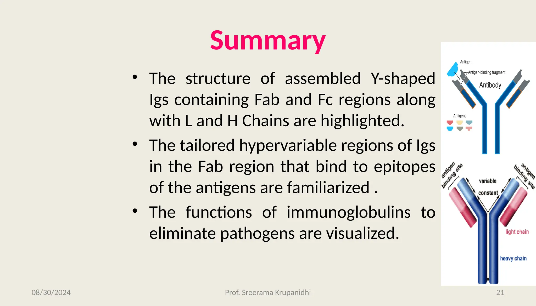 Lecture-10 Immunoglobulins: Their structure and function.pptx