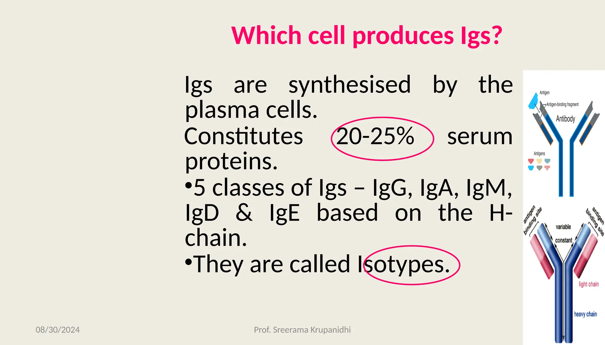 Lecture-10 Immunoglobulins: Their structure and function.pptx