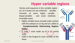 Lecture-10 Immunoglobulins: Their structure and function.pptx