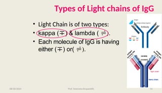 Lecture-10 Immunoglobulins: Their structure and function.pptx