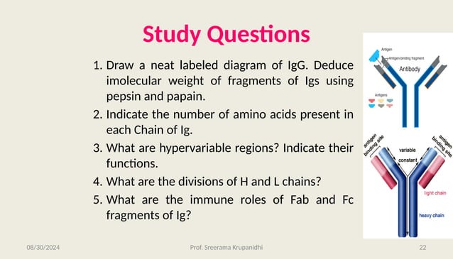 Lecture-10 Immunoglobulins: Their structure and function.pptx | Blood ...