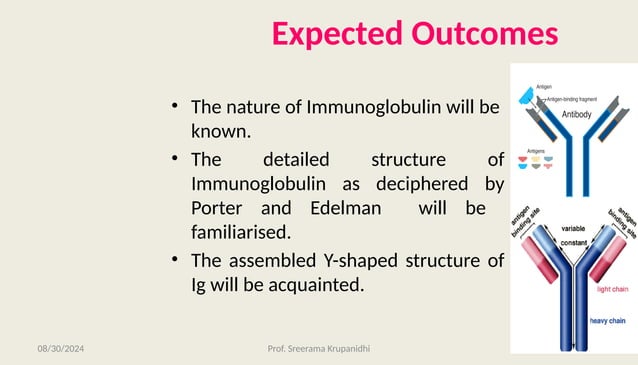 Lecture-10 Immunoglobulins: Their structure and function.pptx | Blood ...