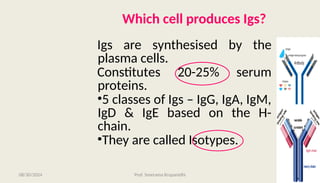 Lecture-10 Immunoglobulins: Their structure and function.pptx