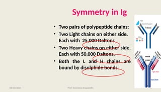 Lecture-10 Immunoglobulins: Their structure and function.pptx