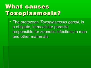 Lecture 10 toxoplasmosis | PPT