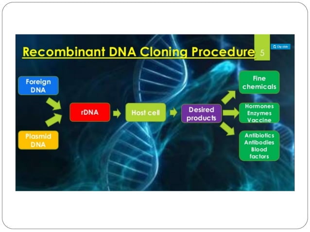 lecture-recombinant-DNA-technology....ppt