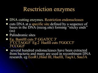 Lecture 11 Recombinant Dna Tech | PPT