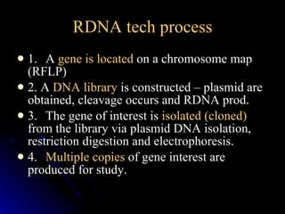 Lecture 11 Recombinant Dna Tech | PPT