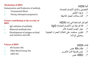 Lecture-11 Hkl;fjwetkldfgjkgjeriojDN.pdf