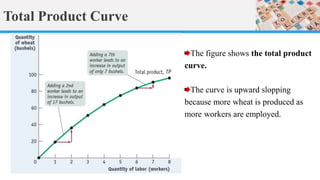 Production theory ECO 101 | PPT