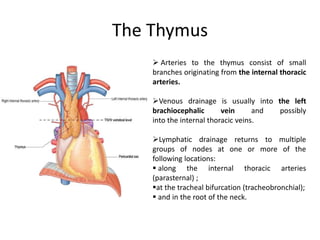 Endocrine system anatomy pituitary thyroid parathyroid.pptx