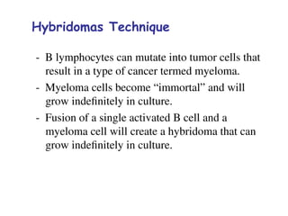 Lecture-12-Hybridoma-technique.ppt class | PPT