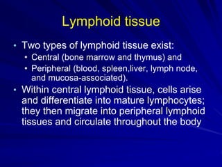 Lecture-12bhhhhhhhhhhhhhhhhhhhhhhhh-Lympha | PPT