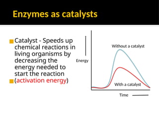 Enzyme basic information and working of enzyme | PPT