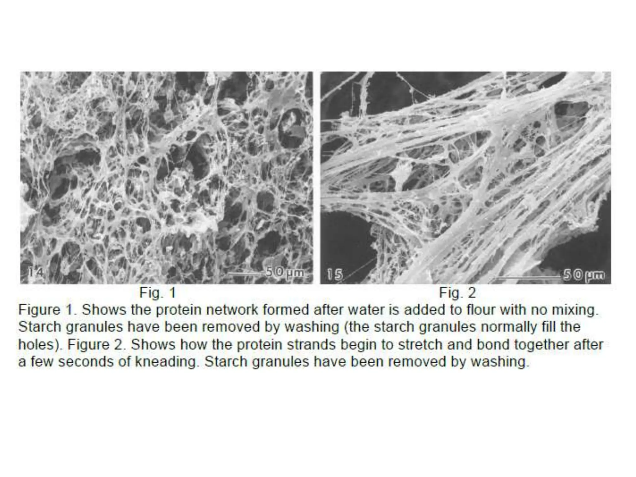 Bakery science and Confectionery Technology | PPTX