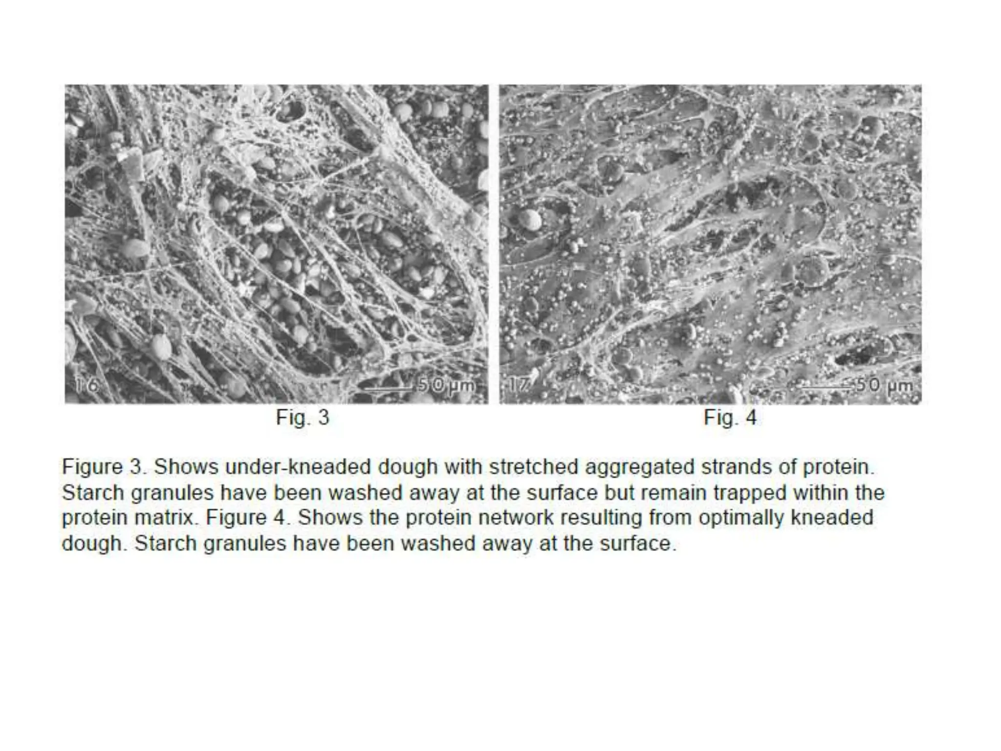 Bakery science and Confectionery Technology | PPTX