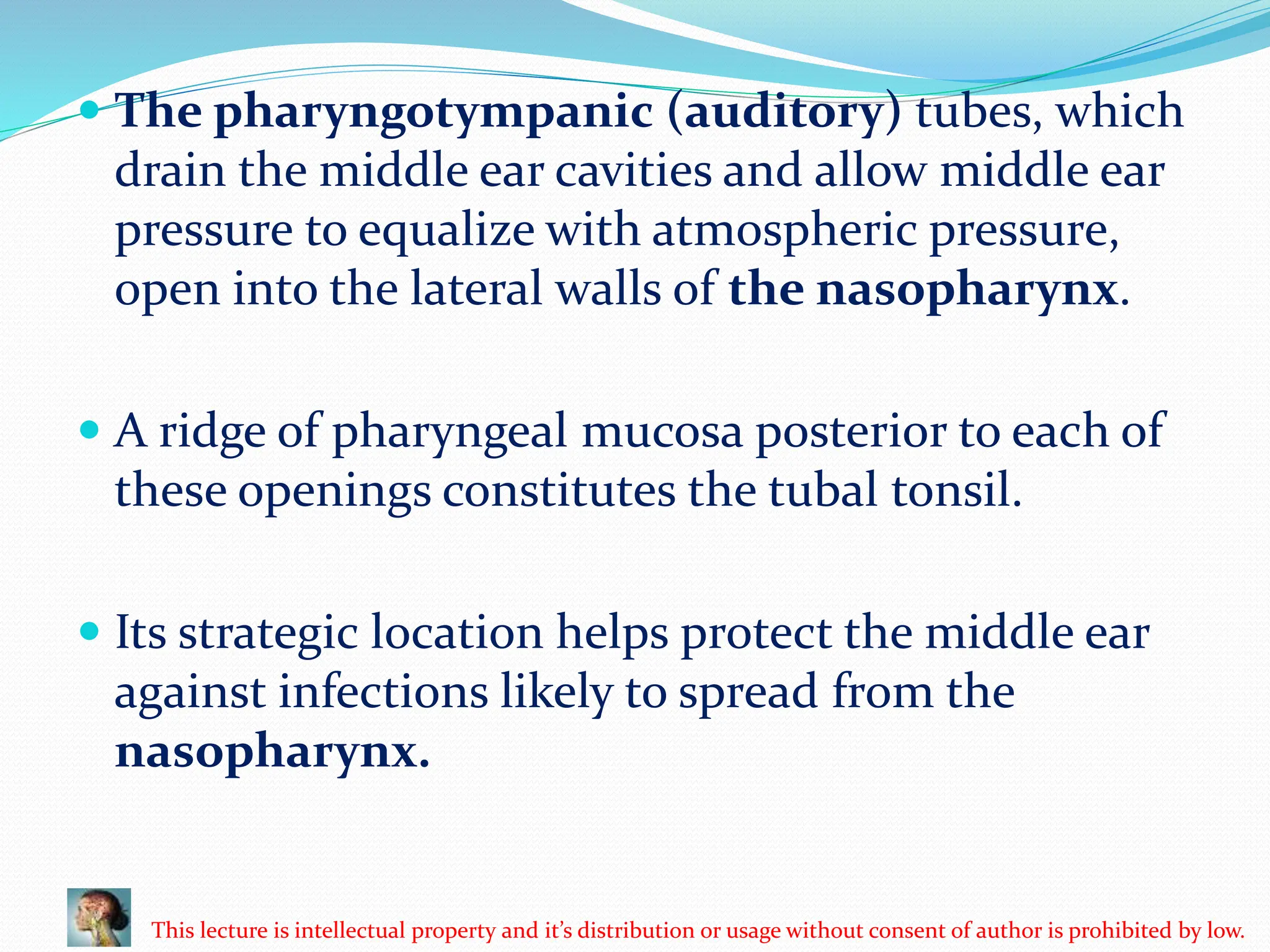 Respiratory System PPT, Anatomy and Physiology | PPTX