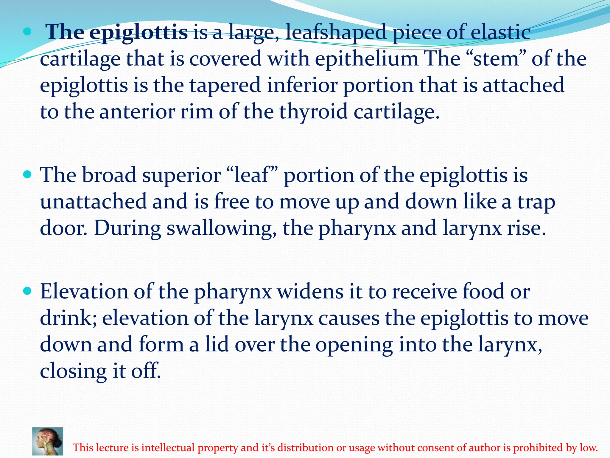 Respiratory System PPT, Anatomy and Physiology | PPTX