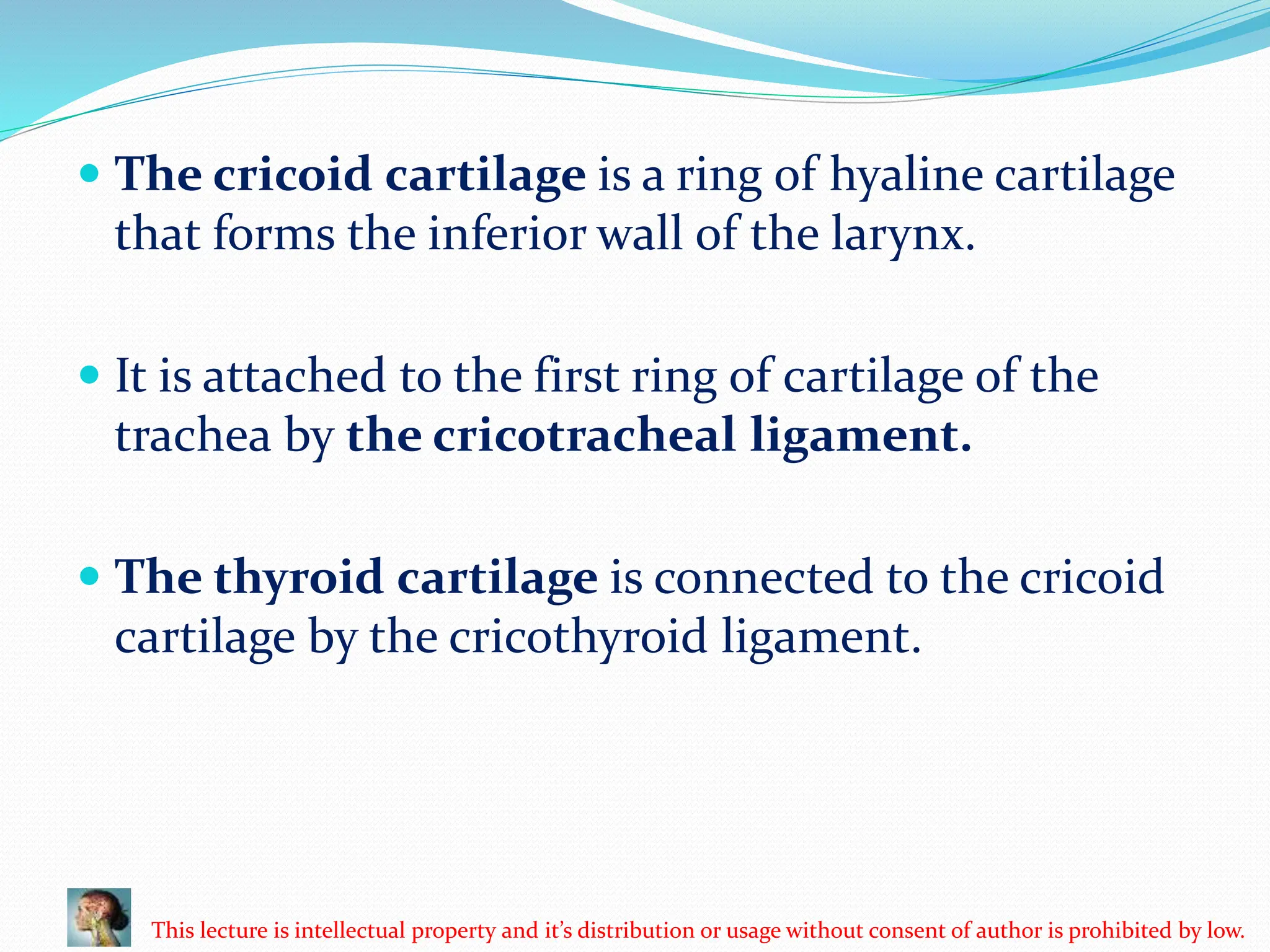 Respiratory System PPT, Anatomy and Physiology | PPTX
