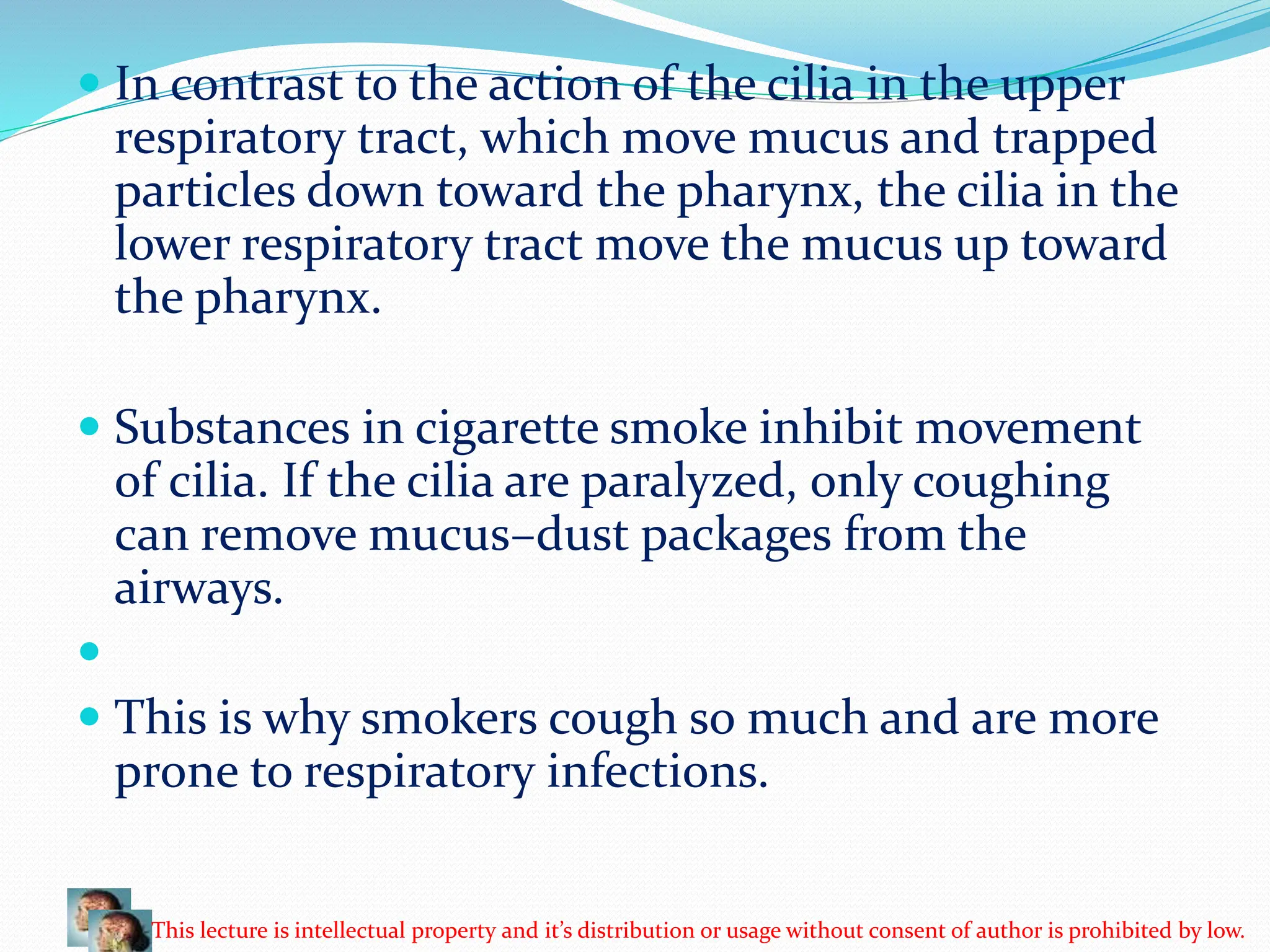 Respiratory System PPT, Anatomy and Physiology | PPTX