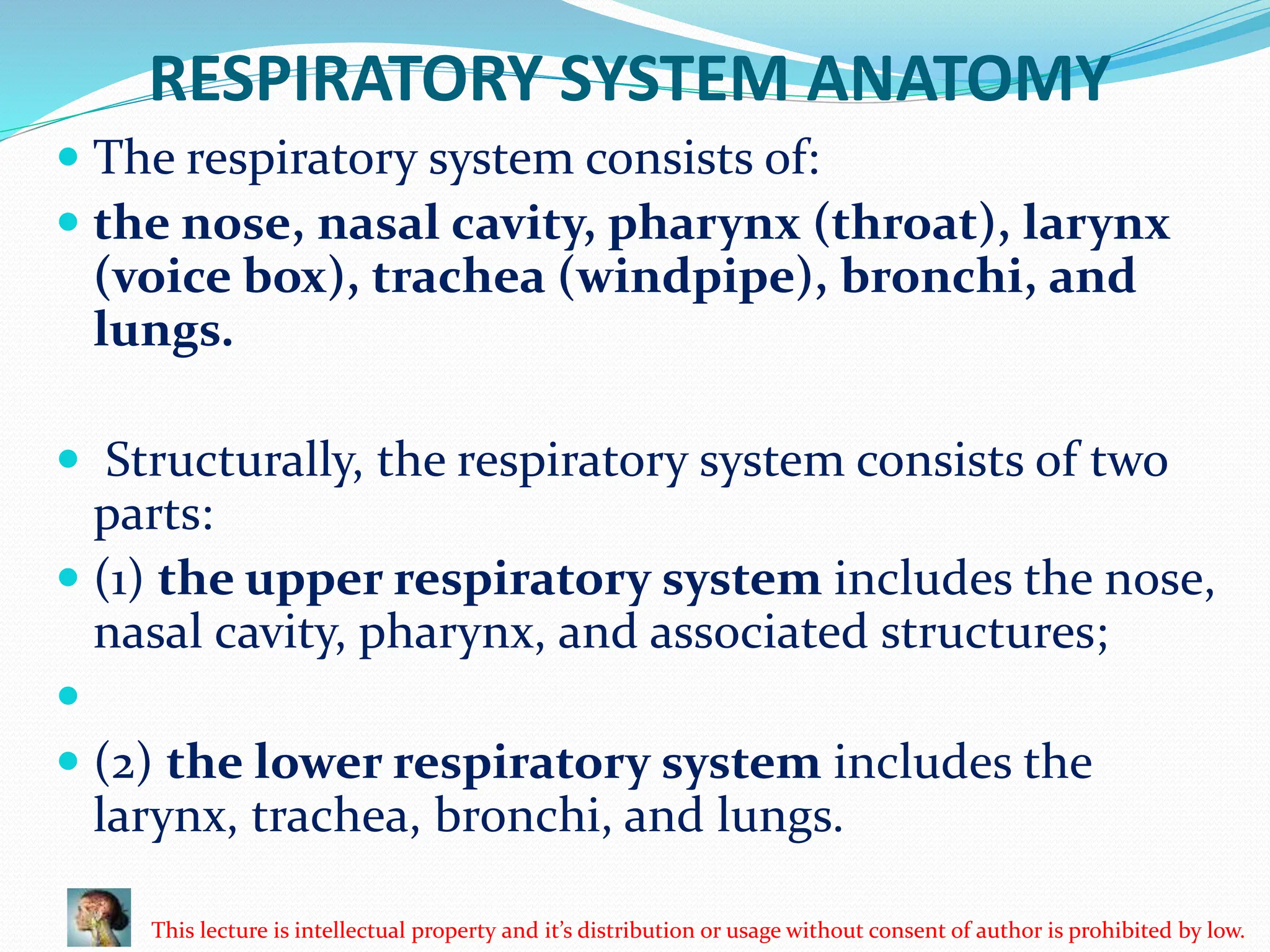 Respiratory System PPT, Anatomy and Physiology | PPT
