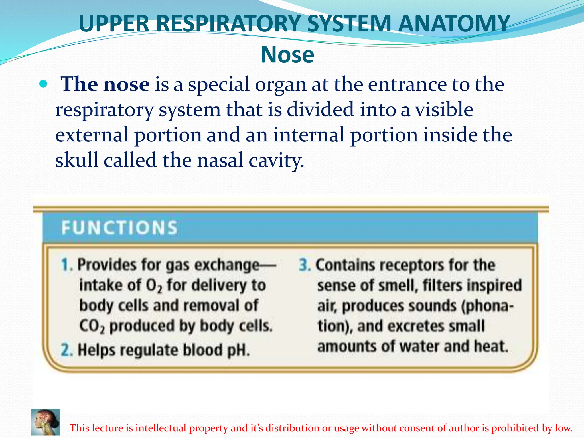 Respiratory System PPT, Anatomy and Physiology | PPTX
