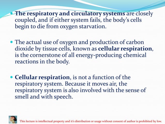 Respiratory System PPT, Anatomy and Physiology | PPT