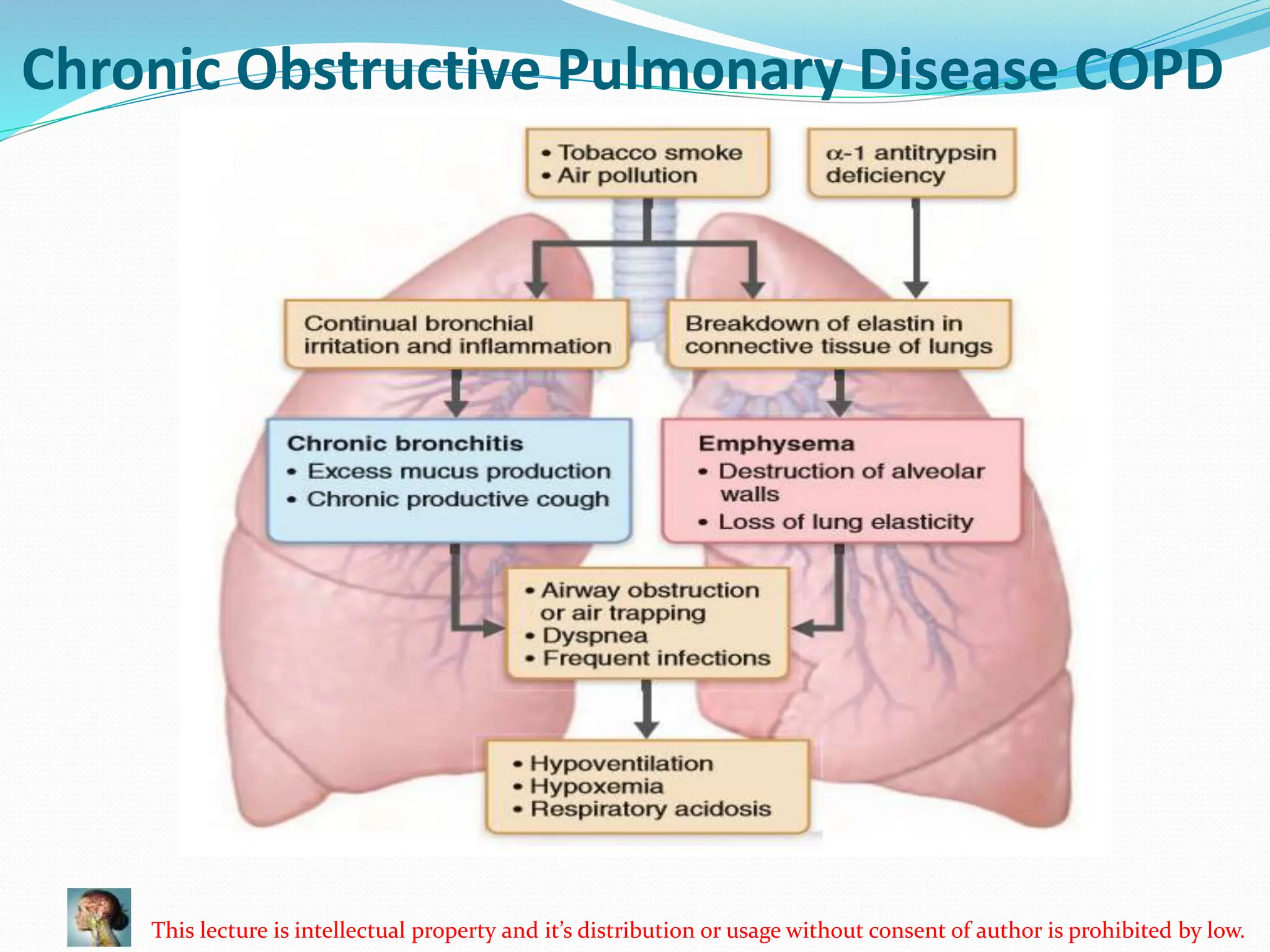 Anatomy of respiration system bronchioles | PPTX