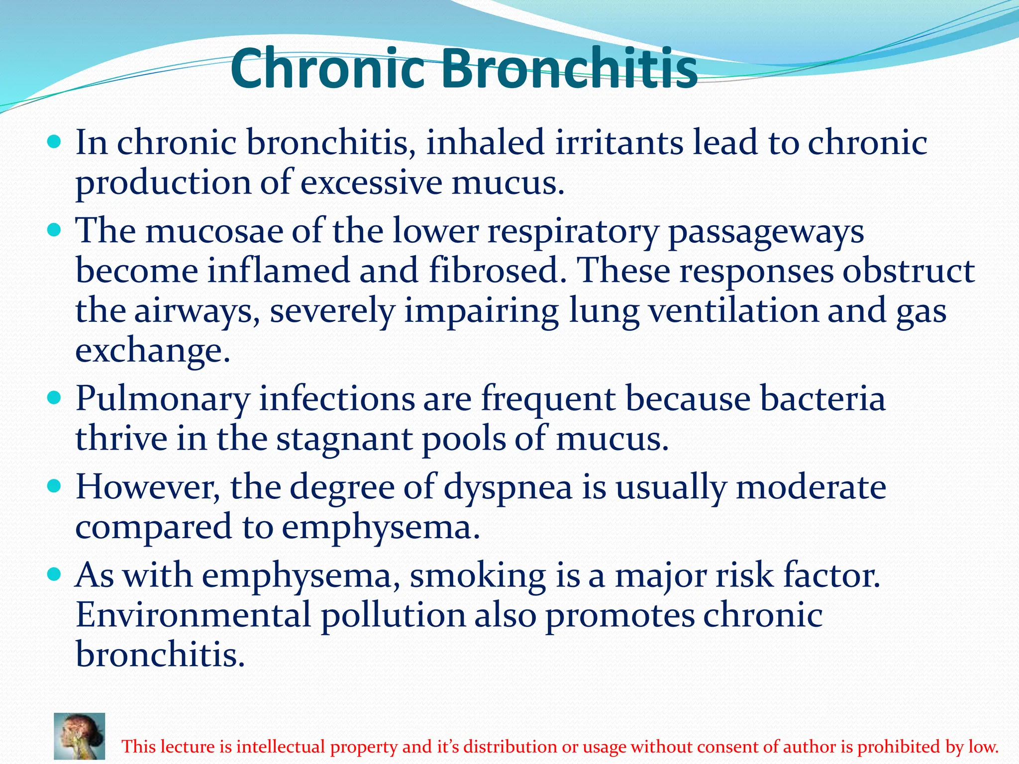 Anatomy of respiration system bronchioles | PPTX