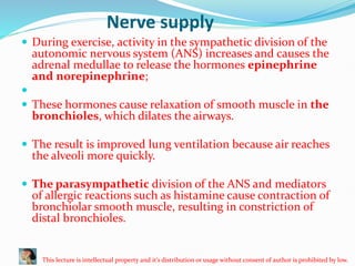 Anatomy of respiration system bronchioles | PPTX