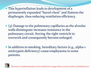 Anatomy of respiration system bronchioles | PPTX