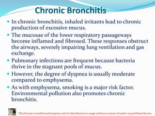Anatomy of respiration system bronchioles | PPTX