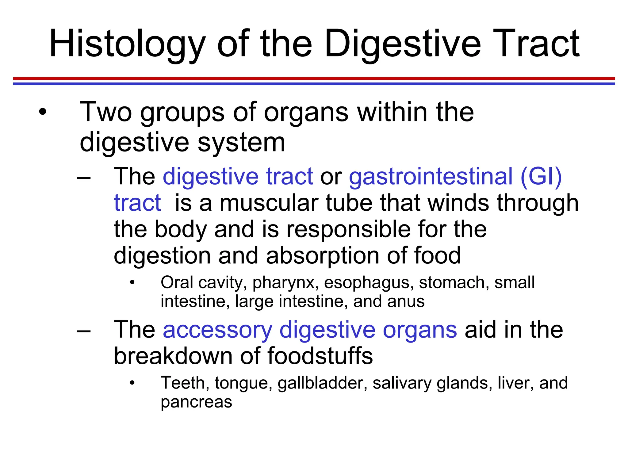 A Lecture Discussing the Digestive-System.ppt