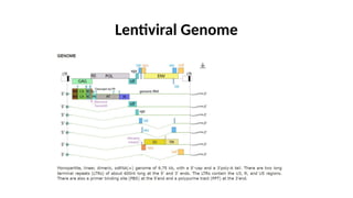 Lecture-14 CAR-T Cells for personalised immunotherapy.pptx