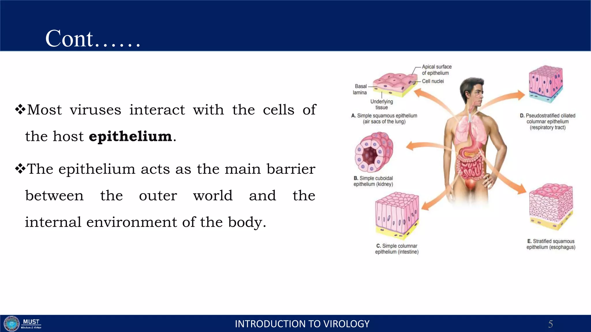 Lecture-14 PORTALS OF VIRUS ENTRY, EXIT AND INFECTION PATTERNS (1).pptx