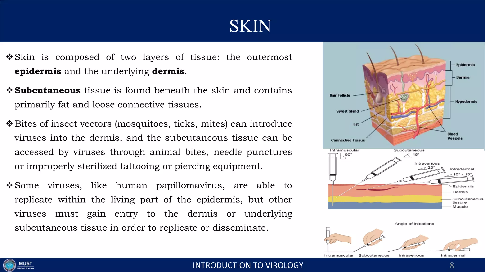 Lecture-14 PORTALS OF VIRUS ENTRY, EXIT AND INFECTION PATTERNS (1).pptx