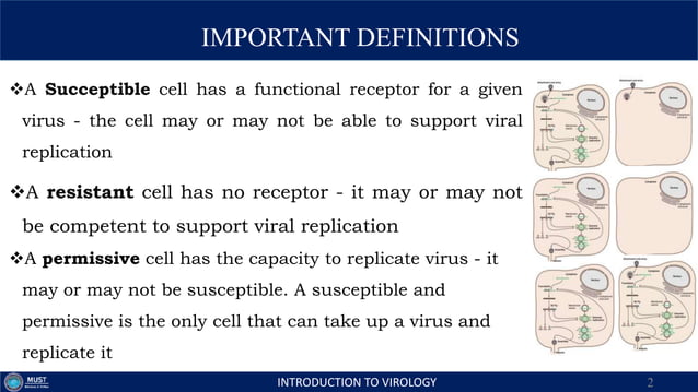 Lecture-14 PORTALS OF VIRUS ENTRY, EXIT AND INFECTION PATTERNS (1).pptx ...