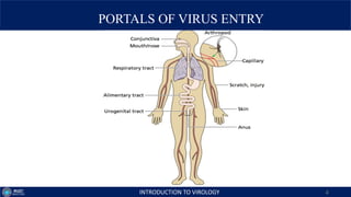 Lecture-14 PORTALS OF VIRUS ENTRY, EXIT AND INFECTION PATTERNS (1).pptx