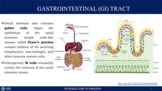 Lecture-14 PORTALS OF VIRUS ENTRY, EXIT AND INFECTION PATTERNS (1).pptx