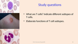 Lecture-15 T (Thymic) cell subtypes.ppt | Genetics | Science