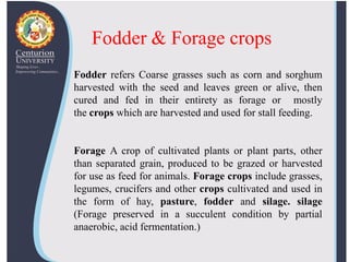 crop production Technology -2 Lecture-16 | PDF
