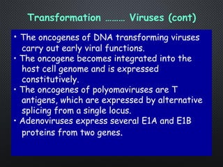 CANCER Basic Oncology and viral agents.pdf