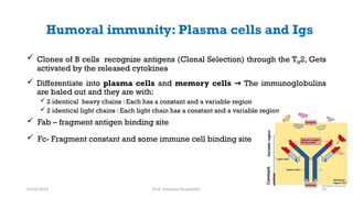 Lecture-17 humoral and cell mediated immunity.pptx