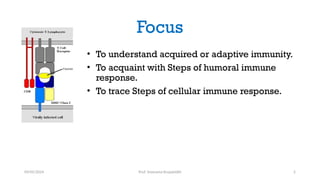 Lecture-17 humoral and cell mediated immunity.pptx