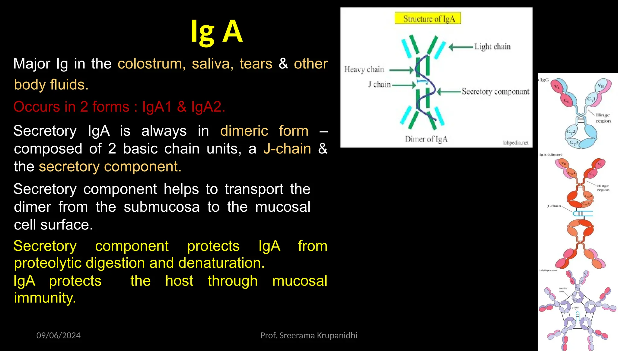 Lecture-18 Types of Immunoglobulins, their isotypes and generation of ...