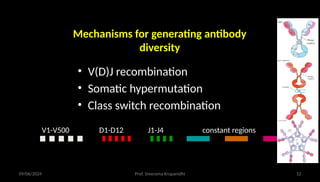 Lecture-18 Types of Immunoglobulins, their isotypes and generation of ...