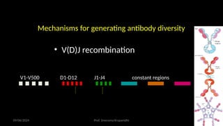 Lecture-18 Types of Immunoglobulins, their isotypes and generation of ...