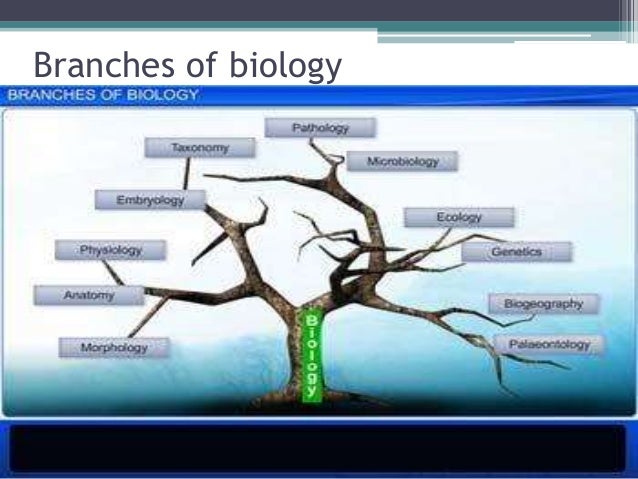 introduction to biology