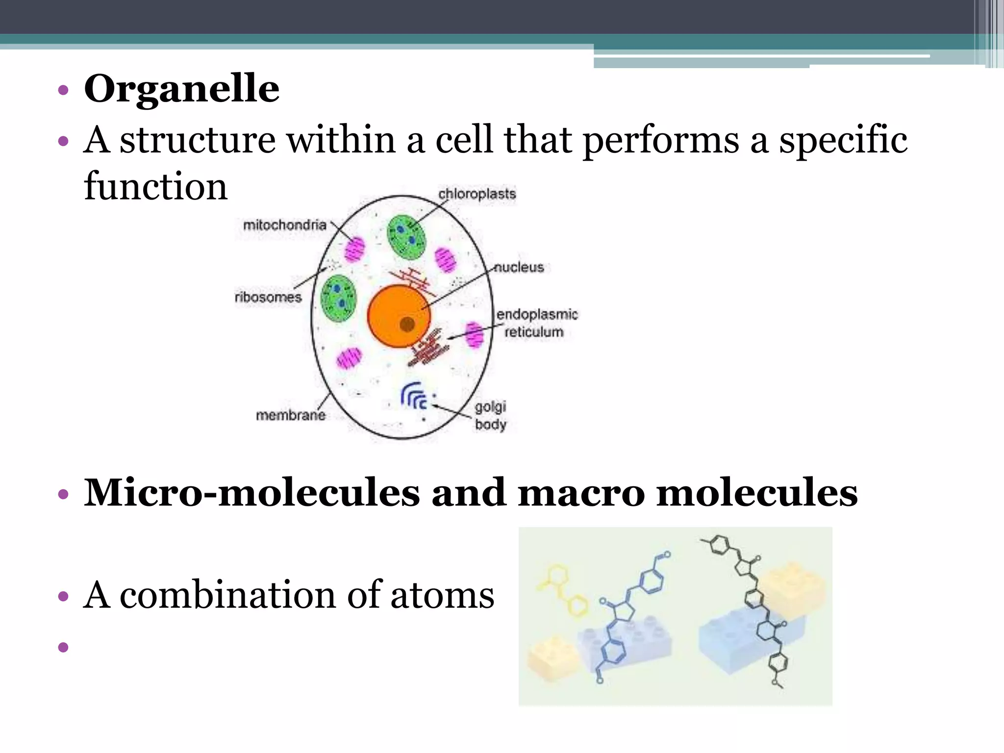 biology-levels of organization | PPTX | Biological Sciences | Science